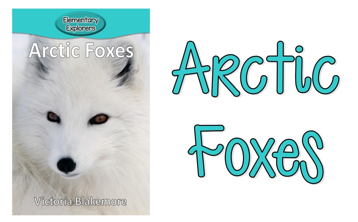 Arctic Foxes – Elementary Explorers