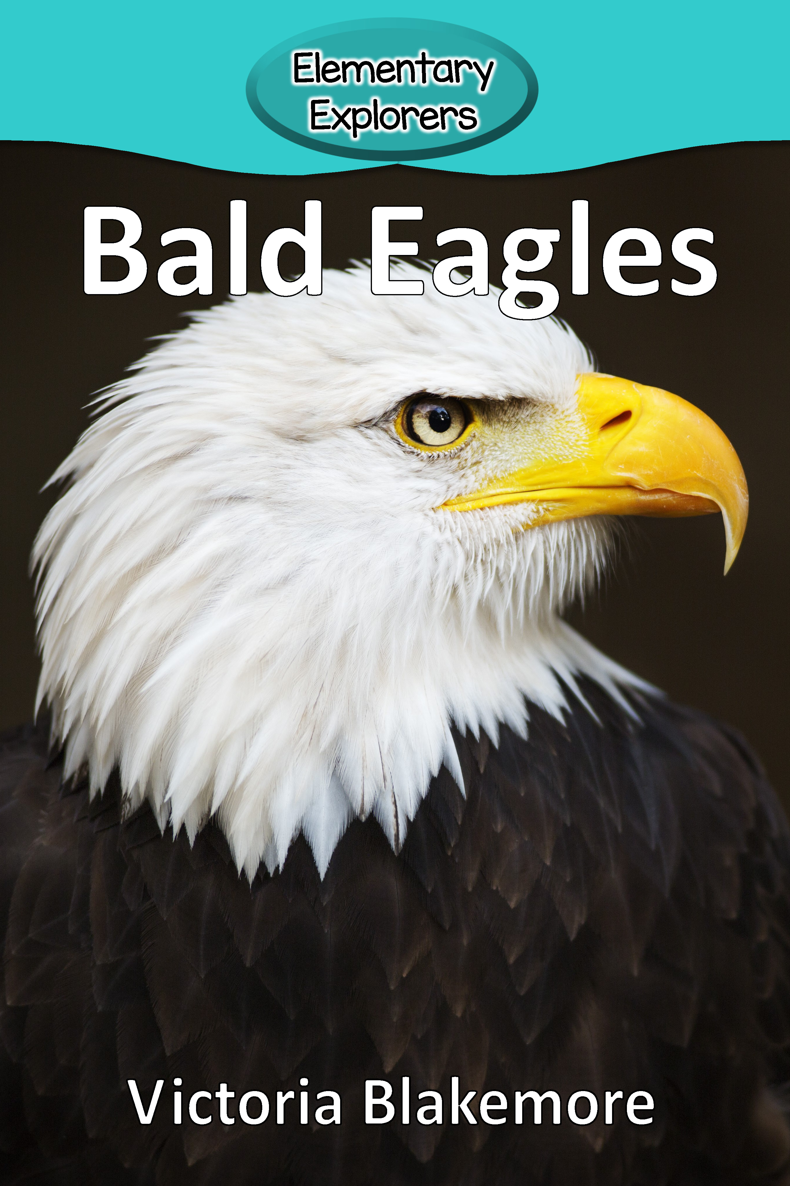 Bald Eagles – Elementary Explorers