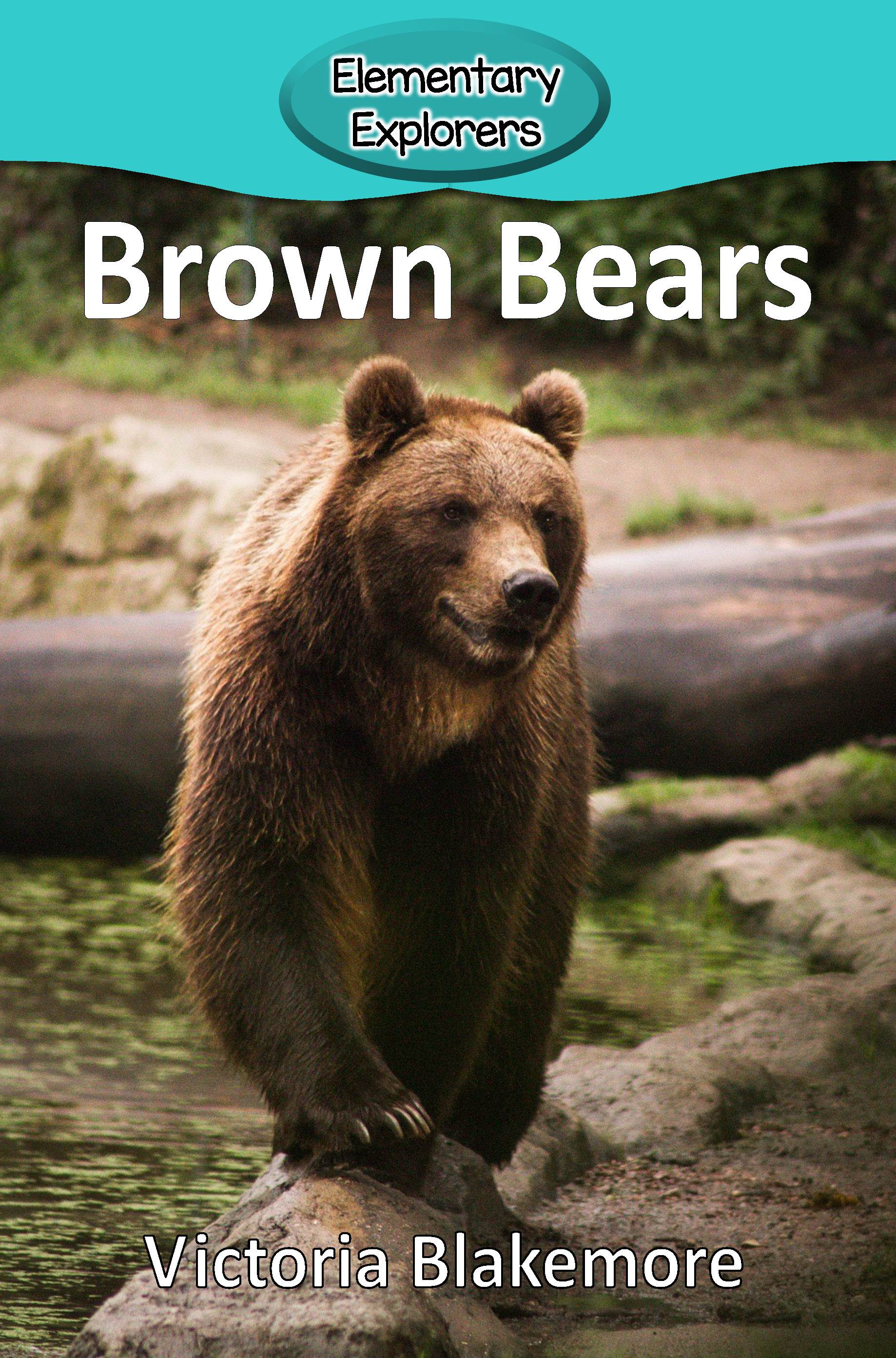 Brown Bears – Elementary Explorers