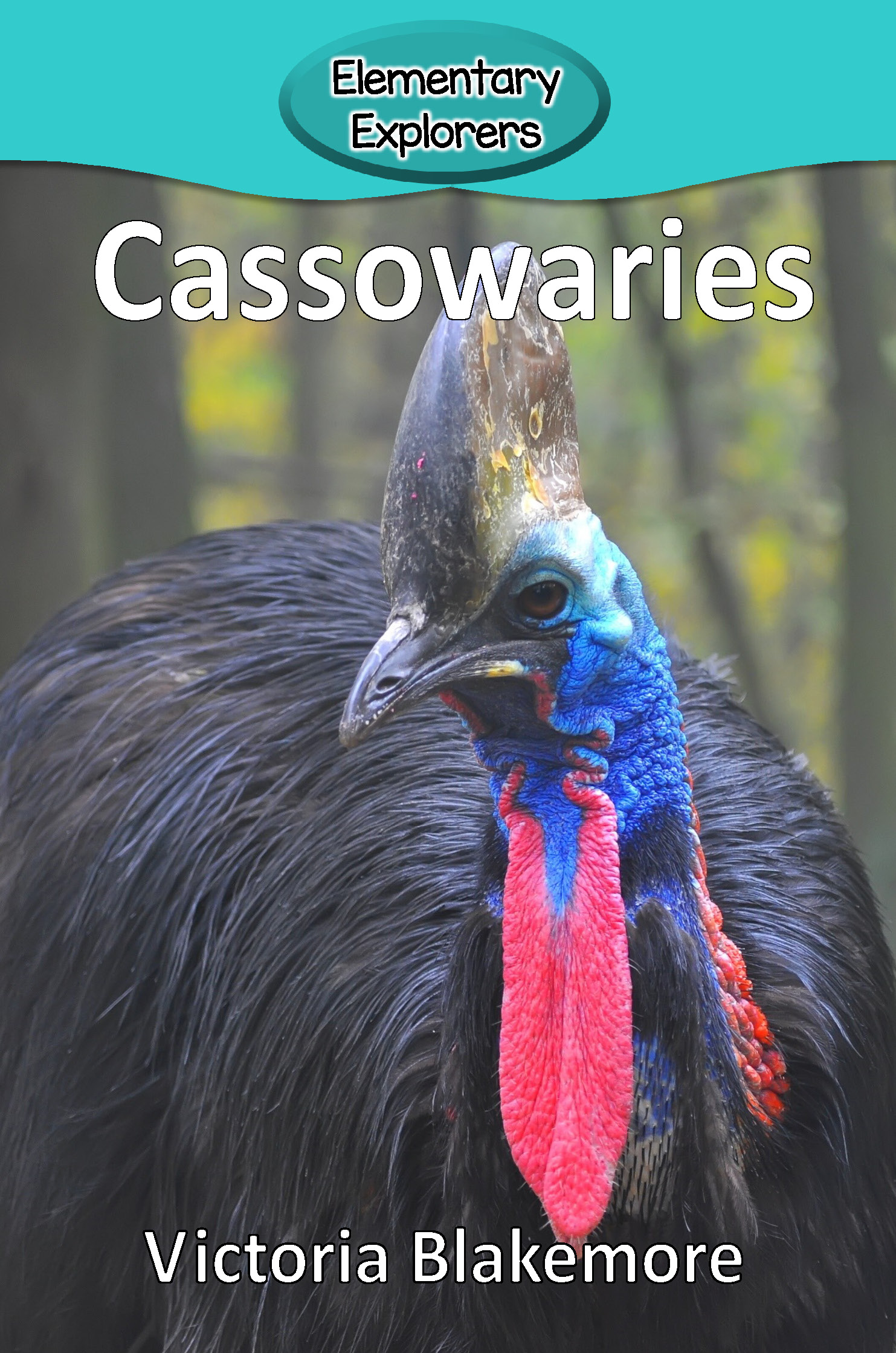 Cassowaries – Elementary Explorers