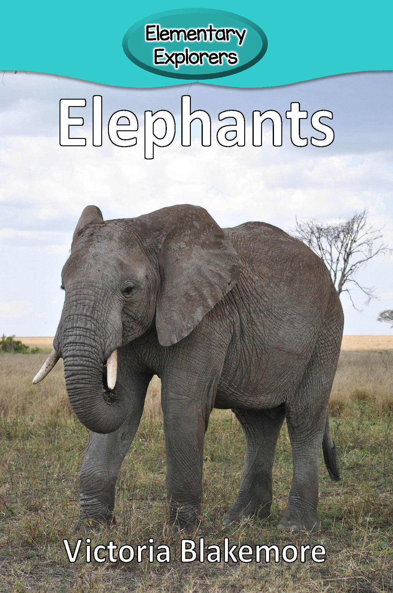 Elephants – Elementary Explorers