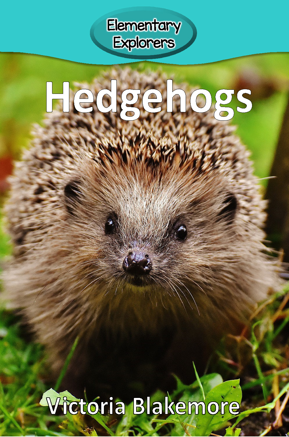 Hedgehogs – Elementary Explorers