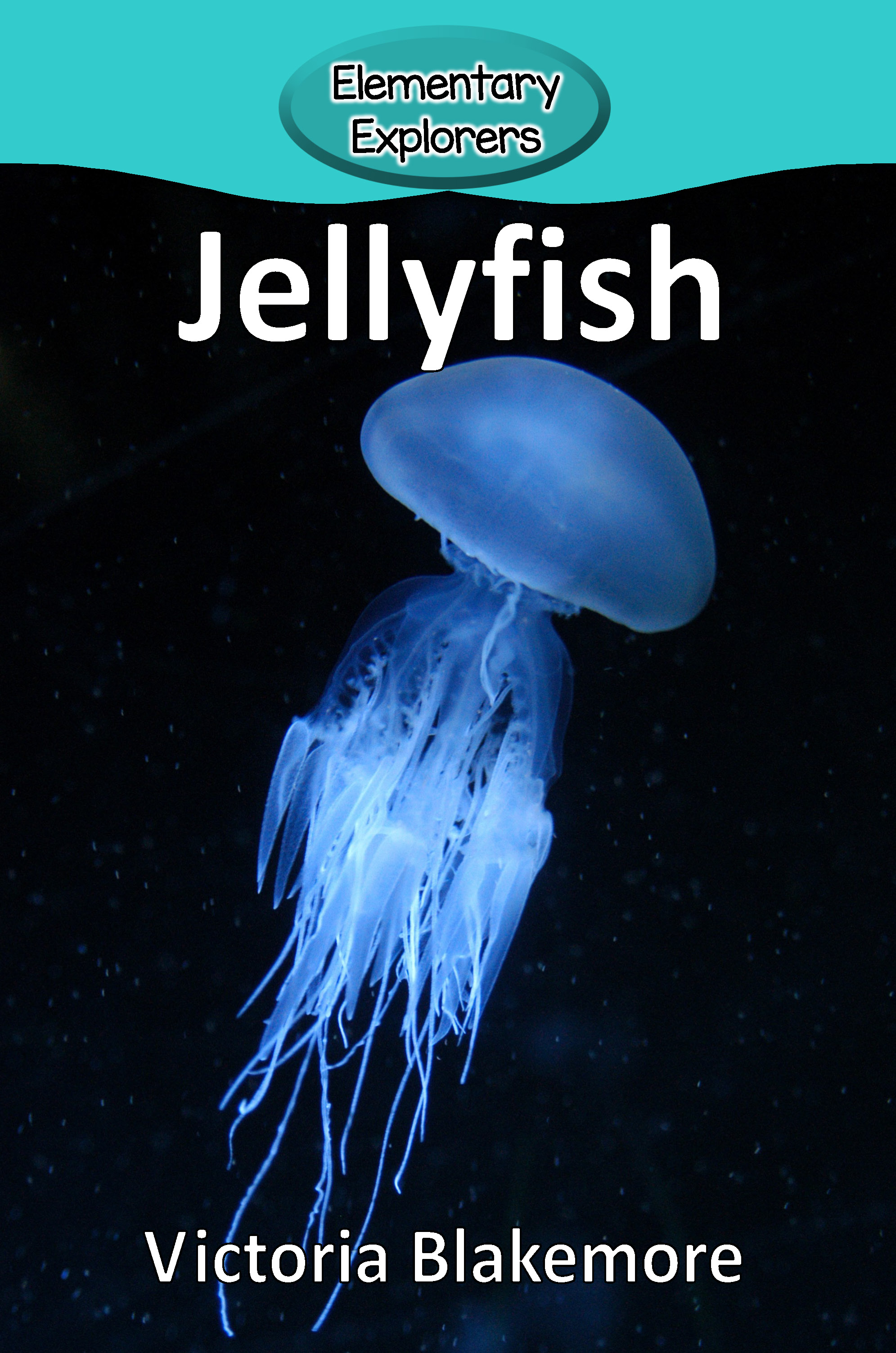 Jellyfish – Elementary Explorers