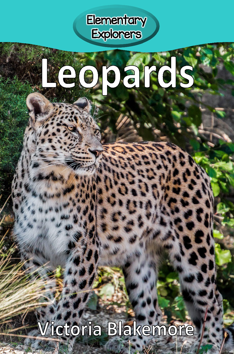 Leopards – Elementary Explorers