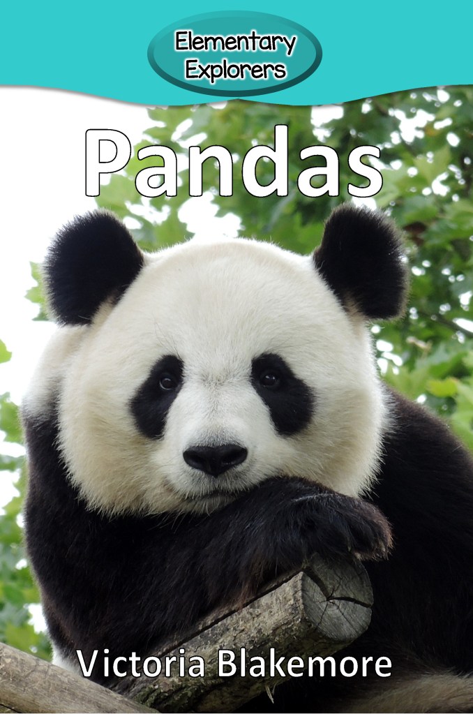 Pandas – Elementary Explorers