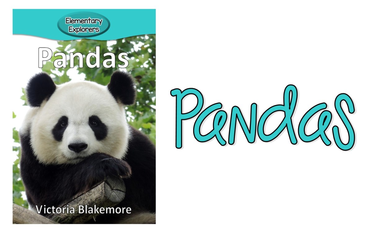Pandas – Elementary Explorers