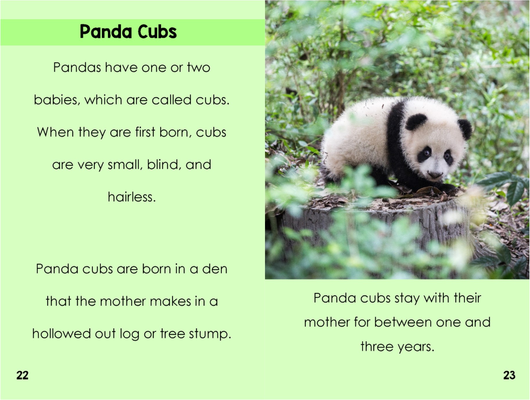 Pandas – Elementary Explorers