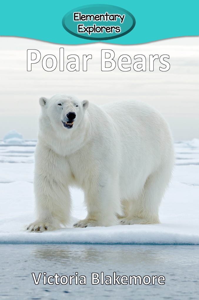 Polar Bears – Elementary Explorers