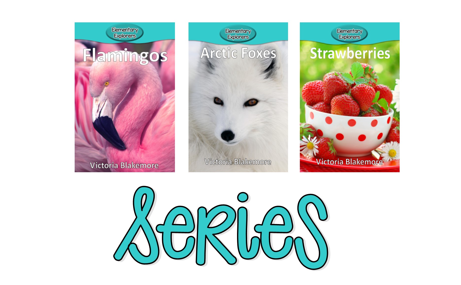 Elementary Explorers