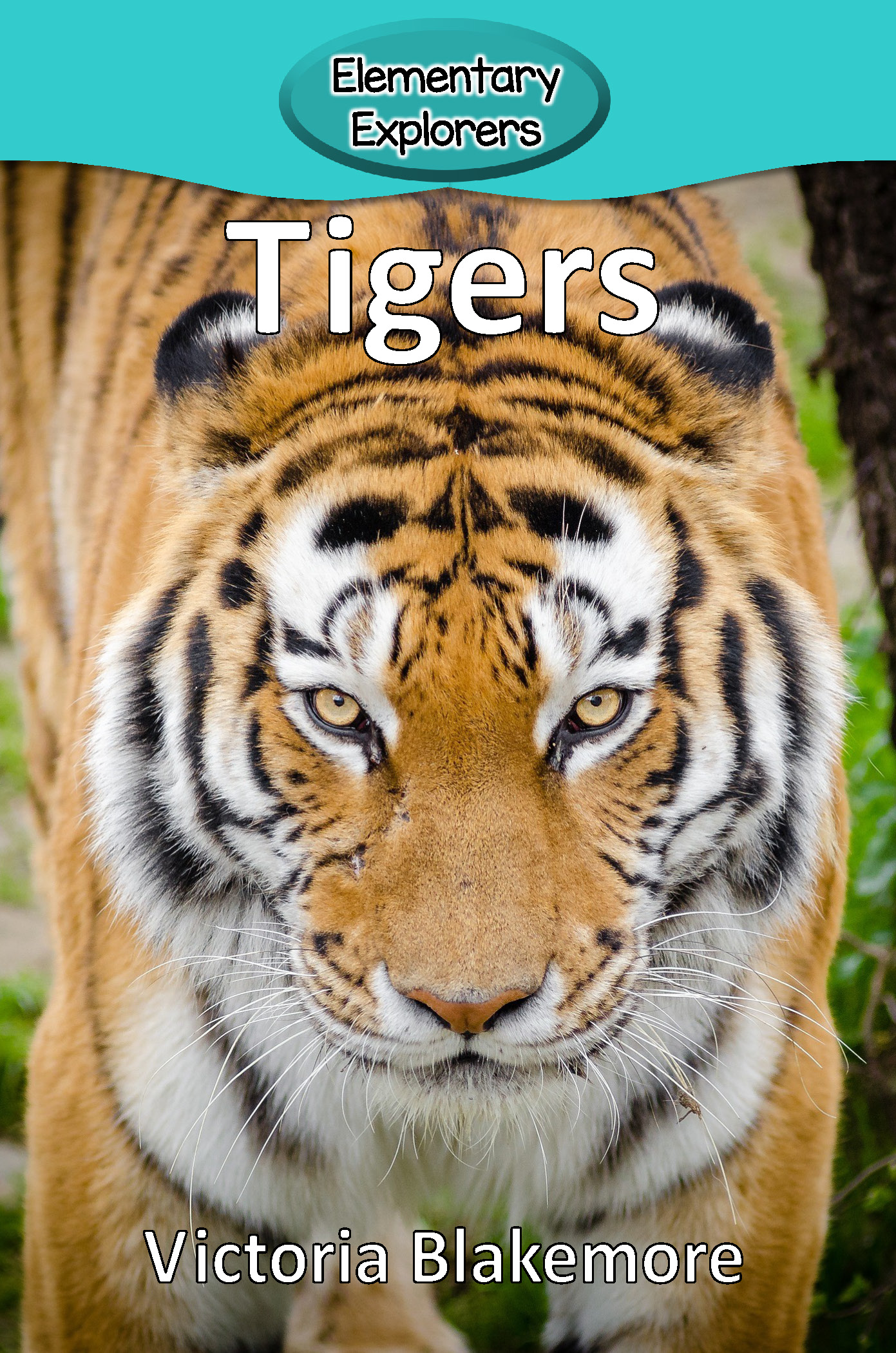 Tigers – Elementary Explorers