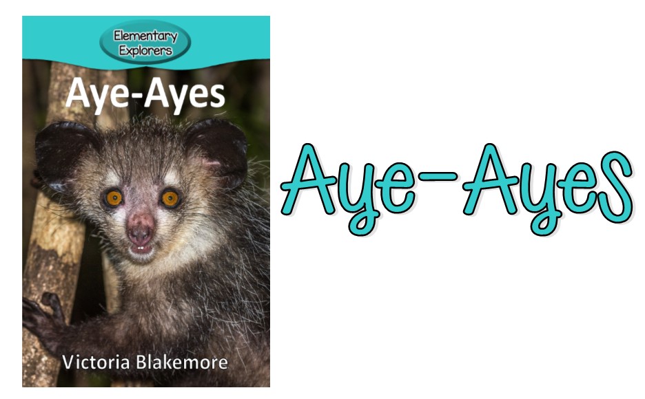 Aye-Ayes – Elementary Explorers