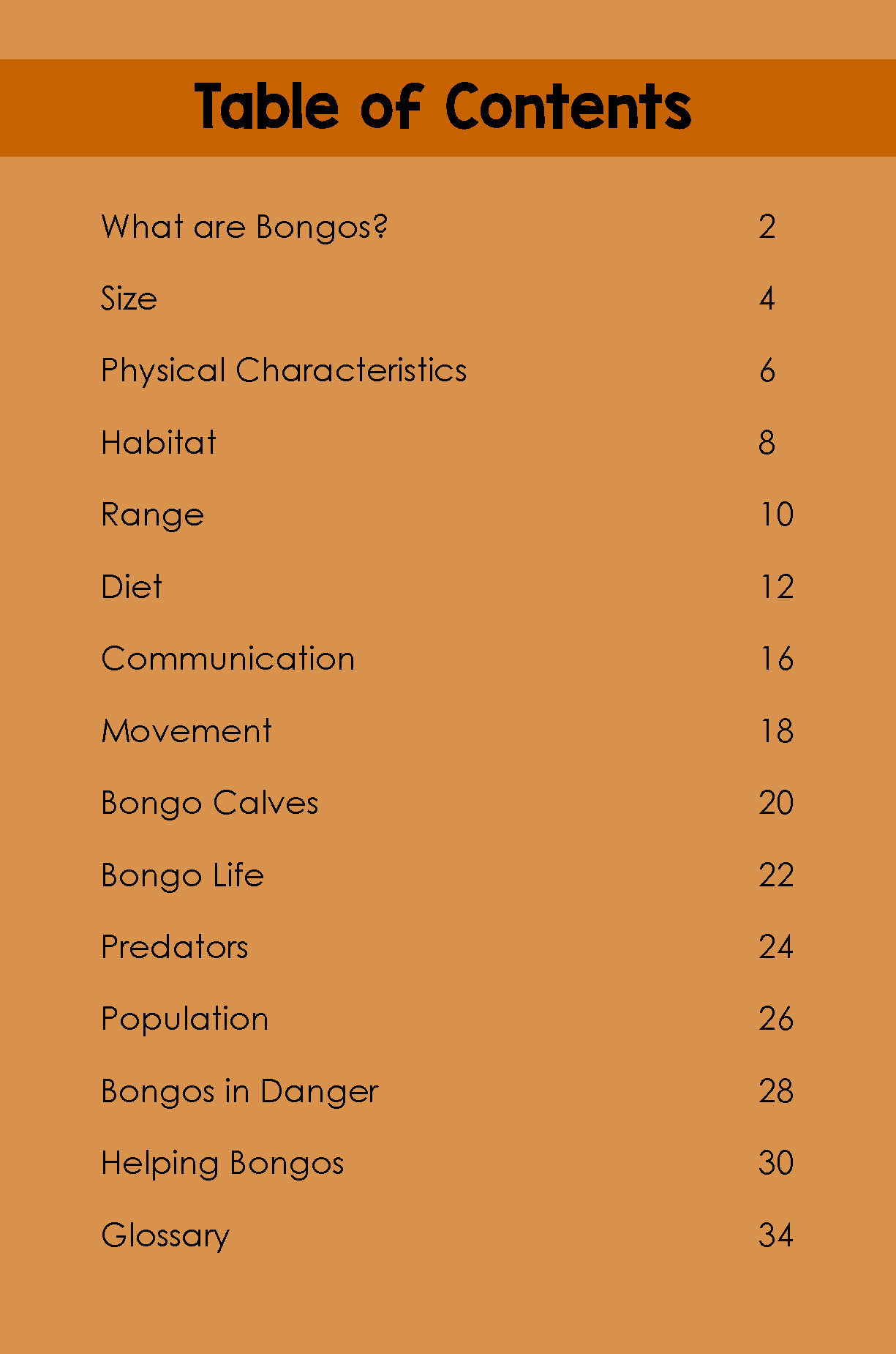 Bongos – Elementary Explorers
