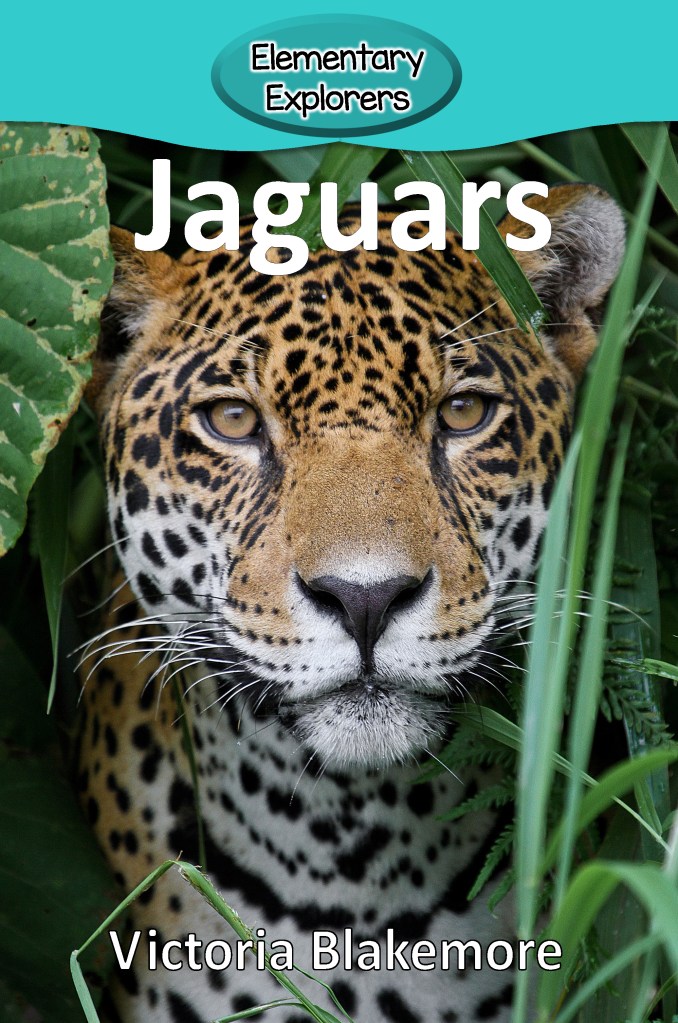 Jaguars – Elementary Explorers