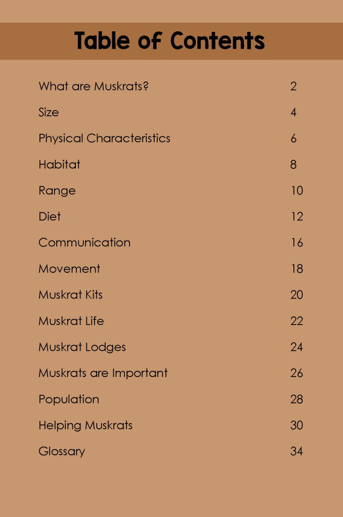 Muskrats – Elementary Explorers