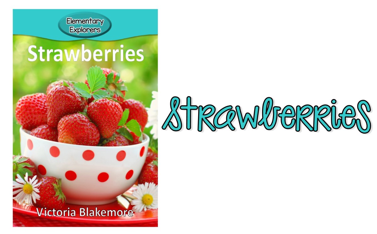 Strawberries – Elementary Explorers