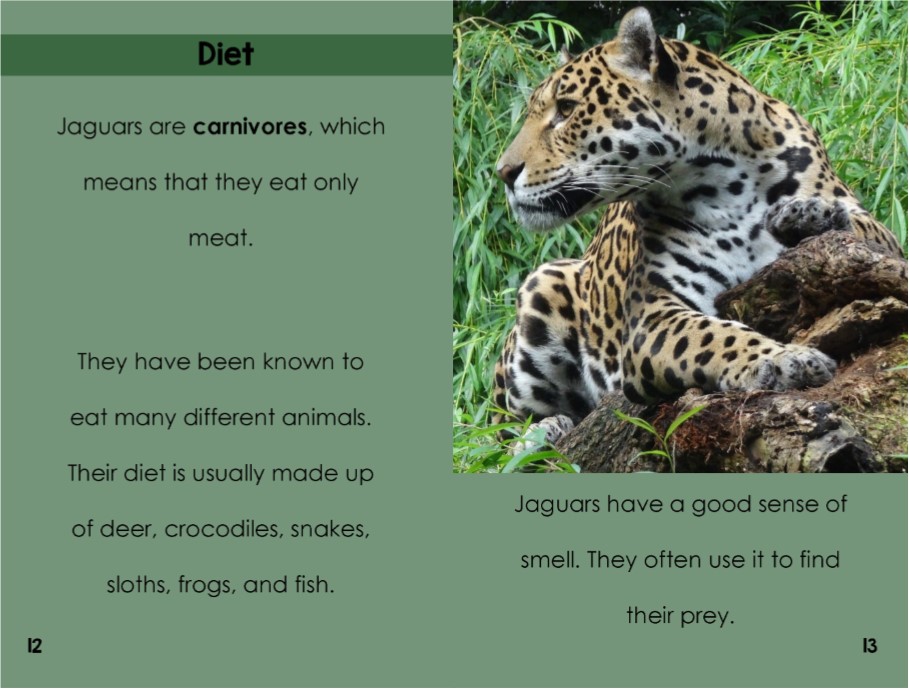 Jaguars – Elementary Explorers