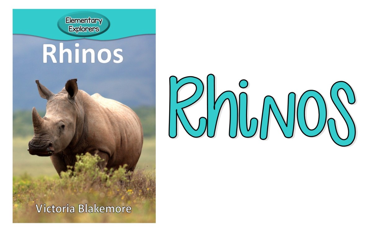Rhinos – Elementary Explorers