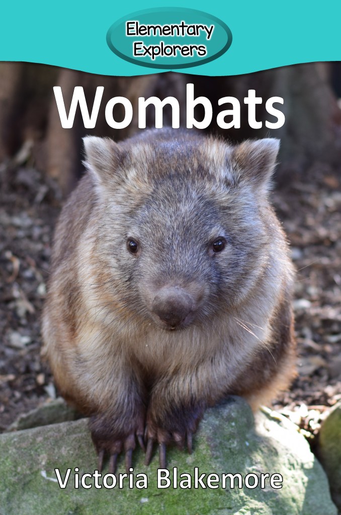 Wombats – Elementary Explorers