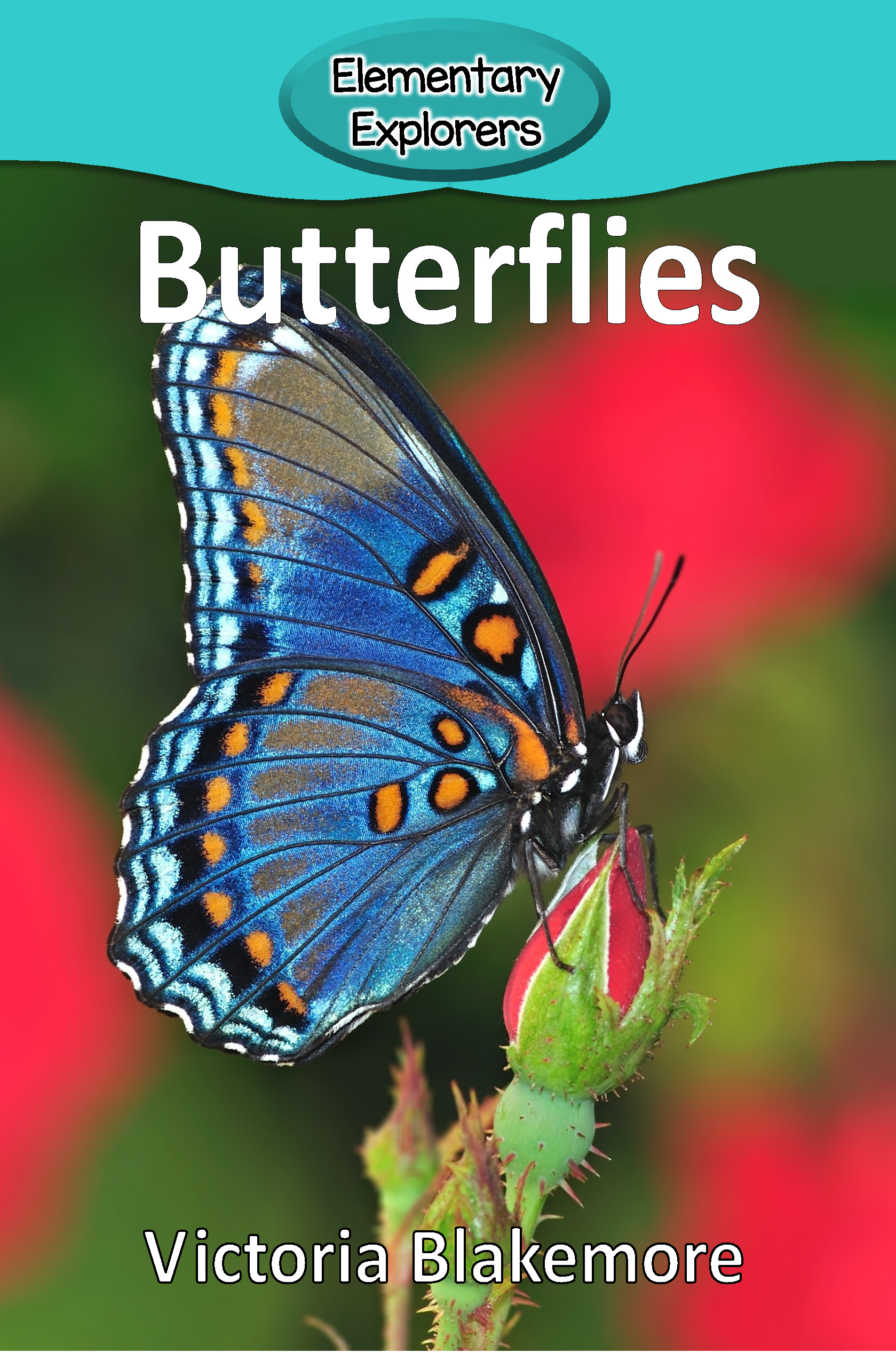 Butterflies – Elementary Explorers