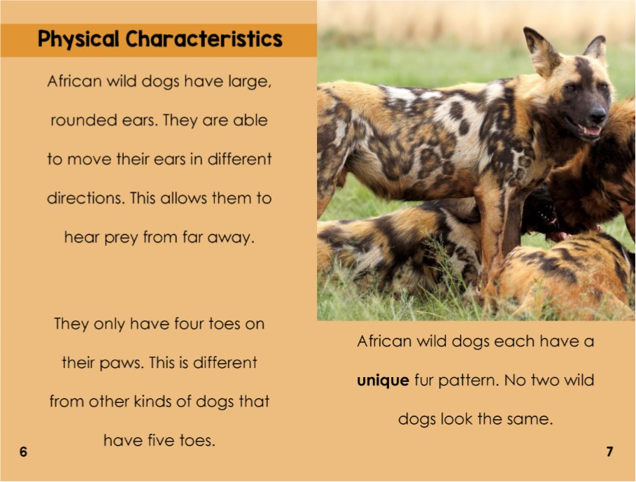 African Wild Dogs – Elementary Explorers