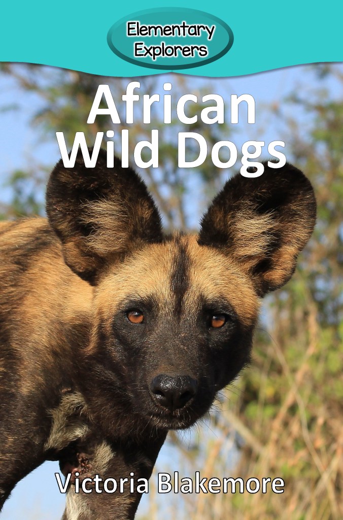 African Wild Dogs – Elementary Explorers