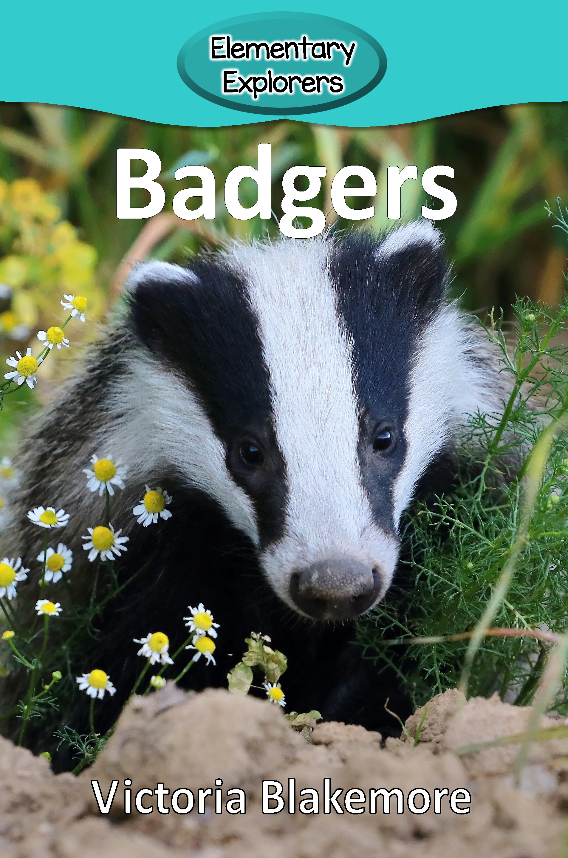 Series – Elementary Explorers