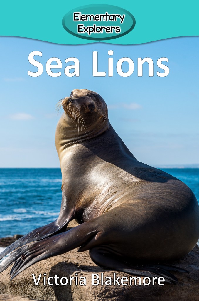 Sea Lions – Elementary Explorers