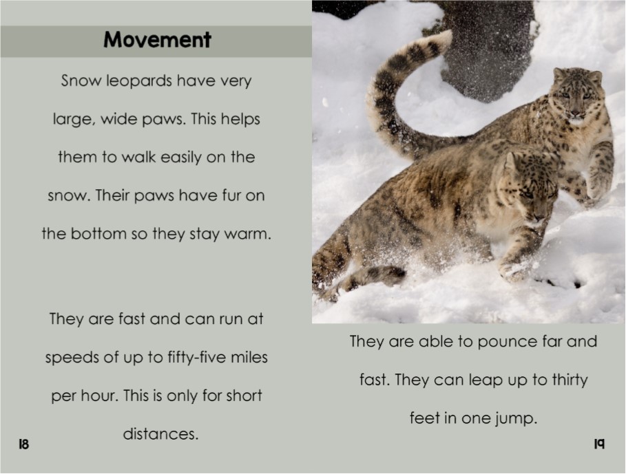 Snow Leopards – Elementary Explorers