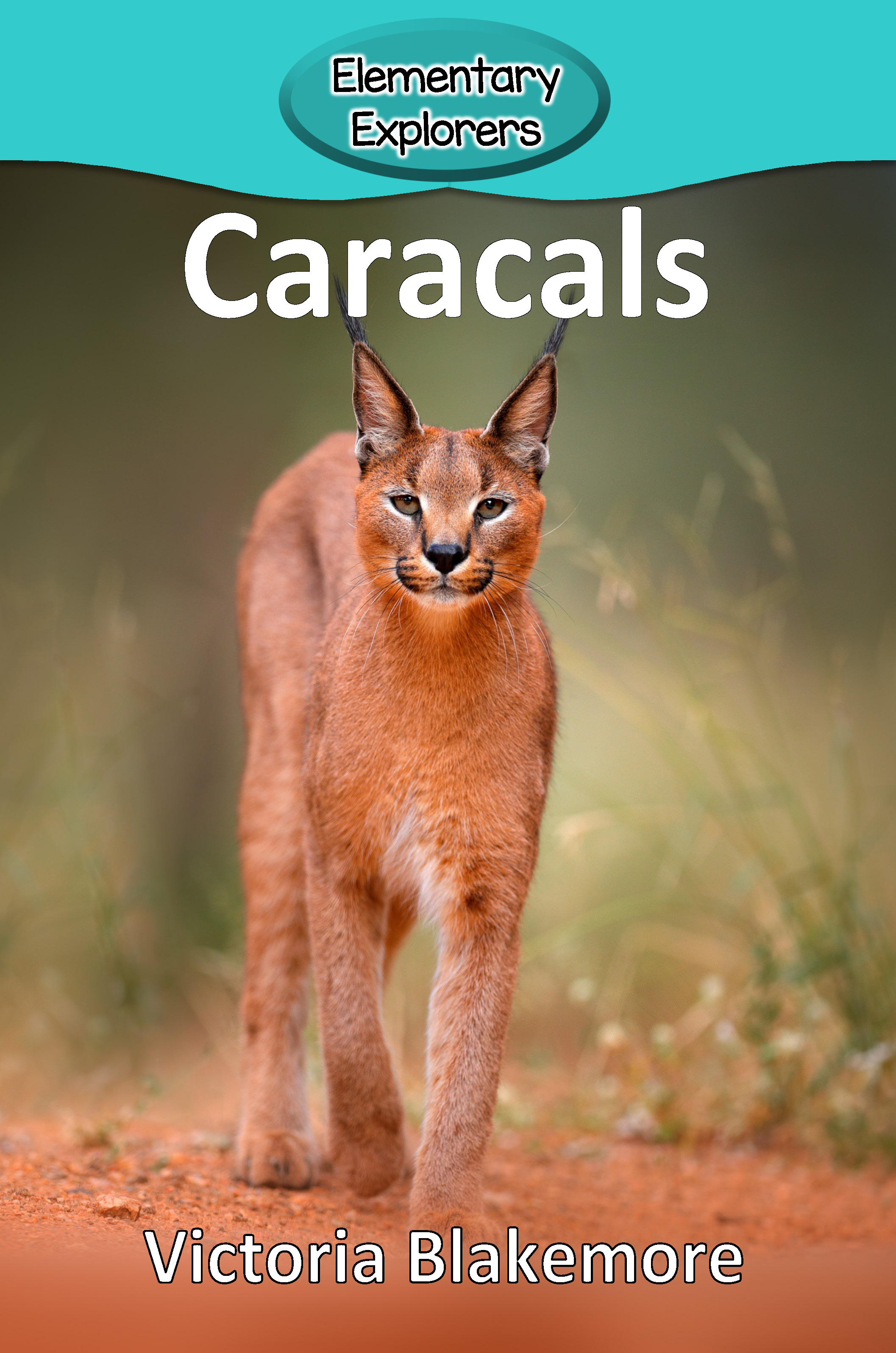 Caracals – Elementary Explorers