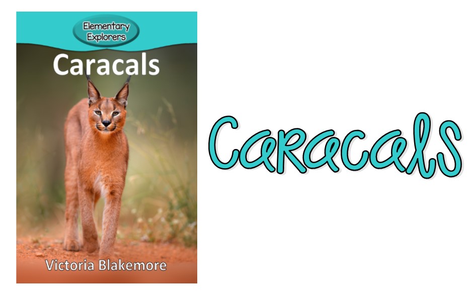 Caracals – Elementary Explorers