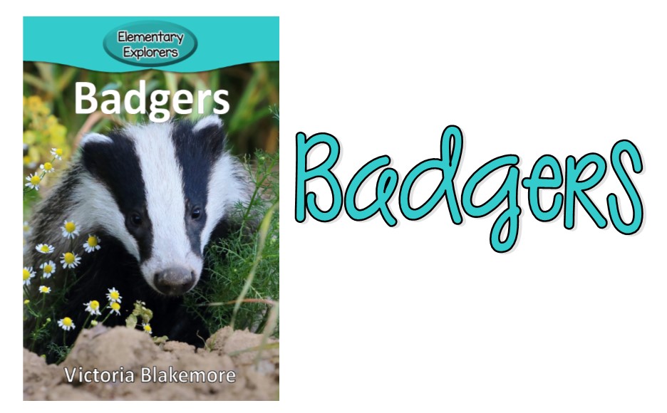Badgers – Elementary Explorers