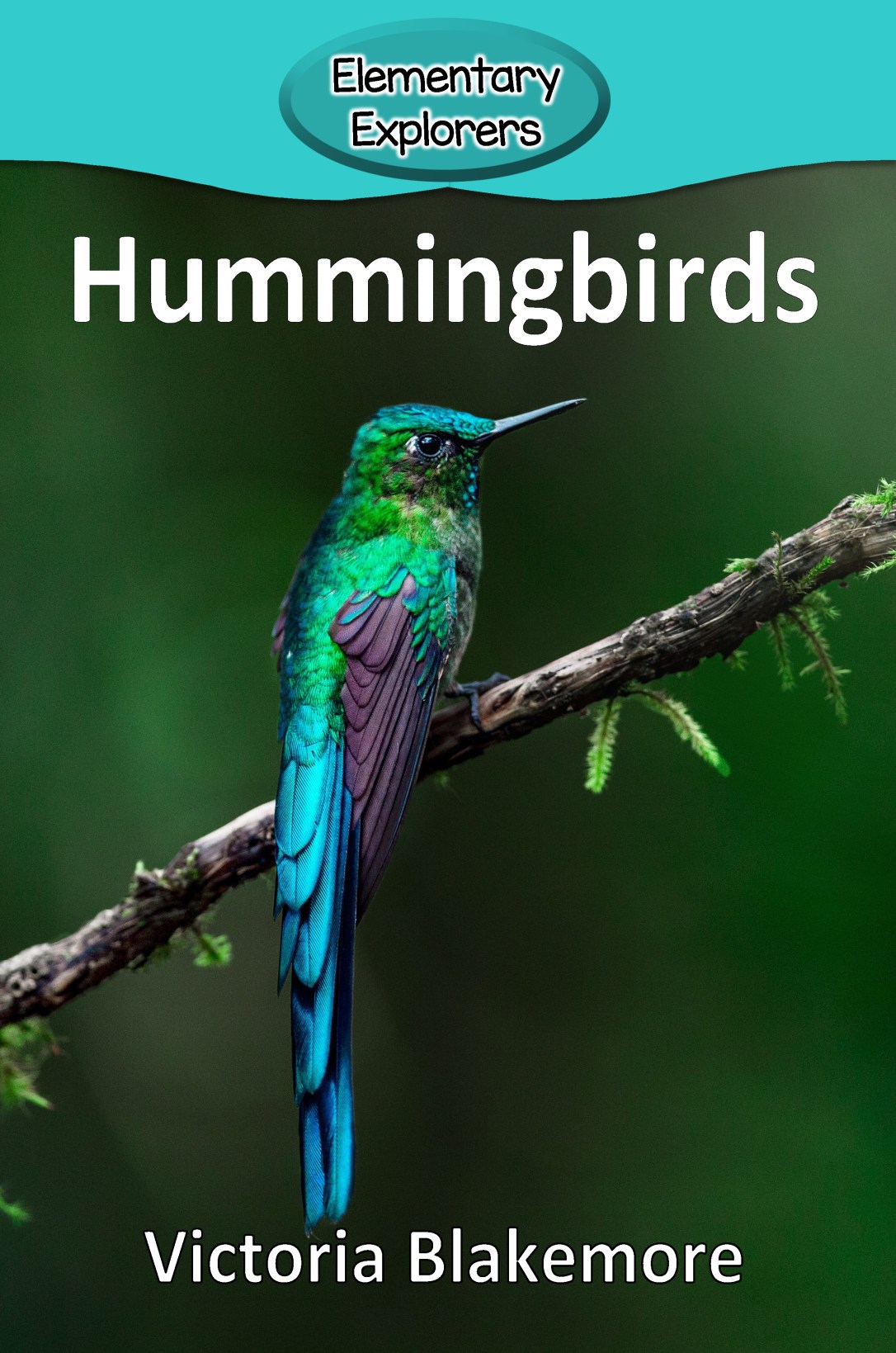 Hummingbirds – Elementary Explorers