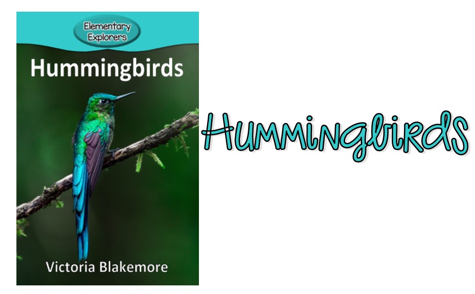 Hummingbirds – Elementary Explorers