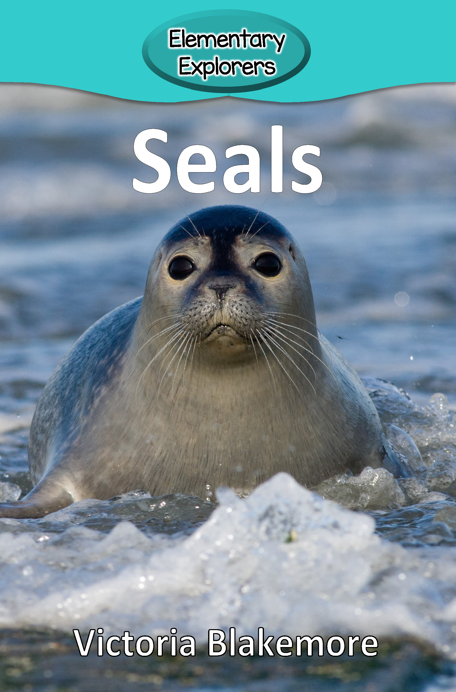 Seals – Elementary Explorers
