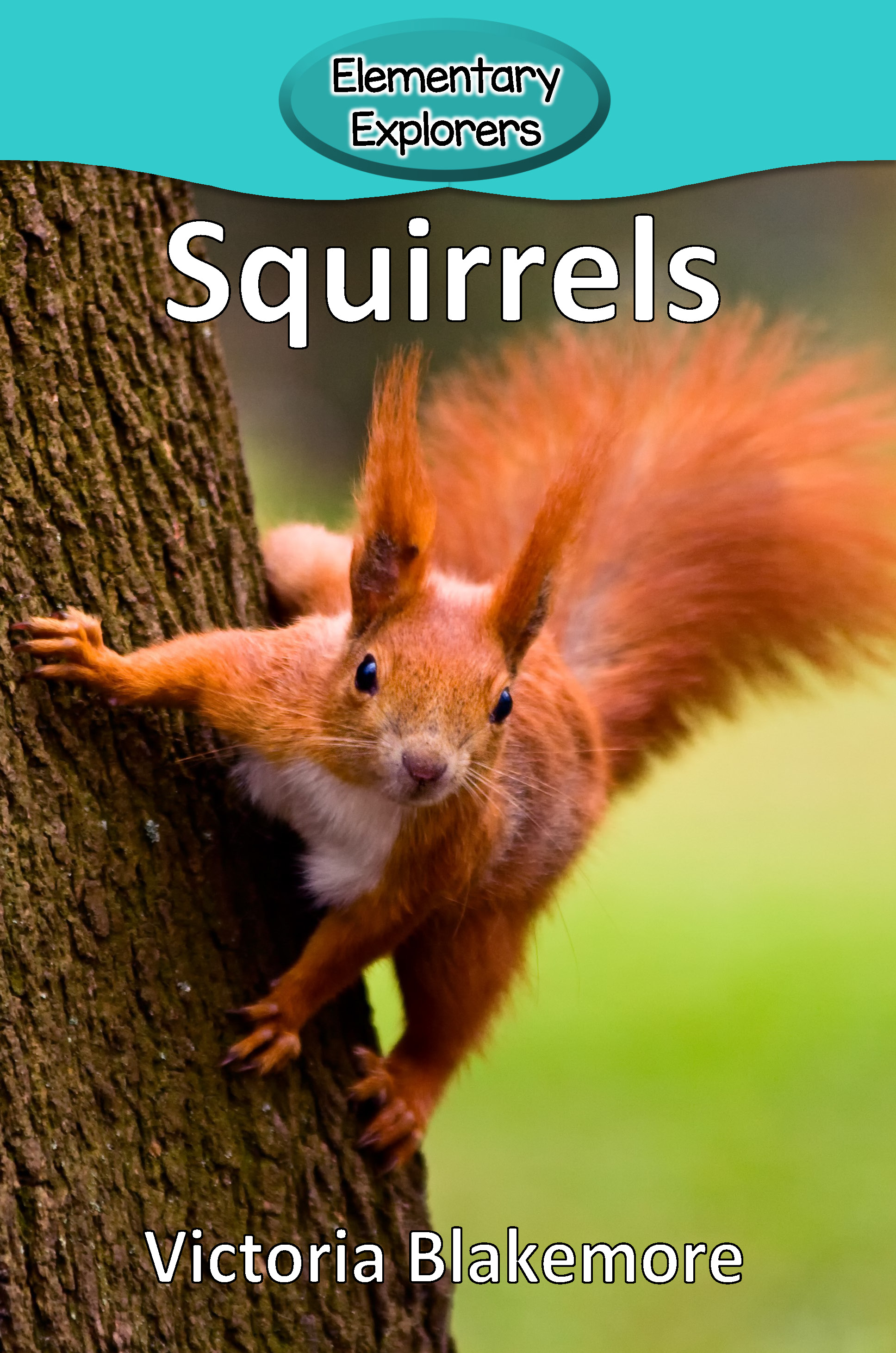 Squirrels – Elementary Explorers