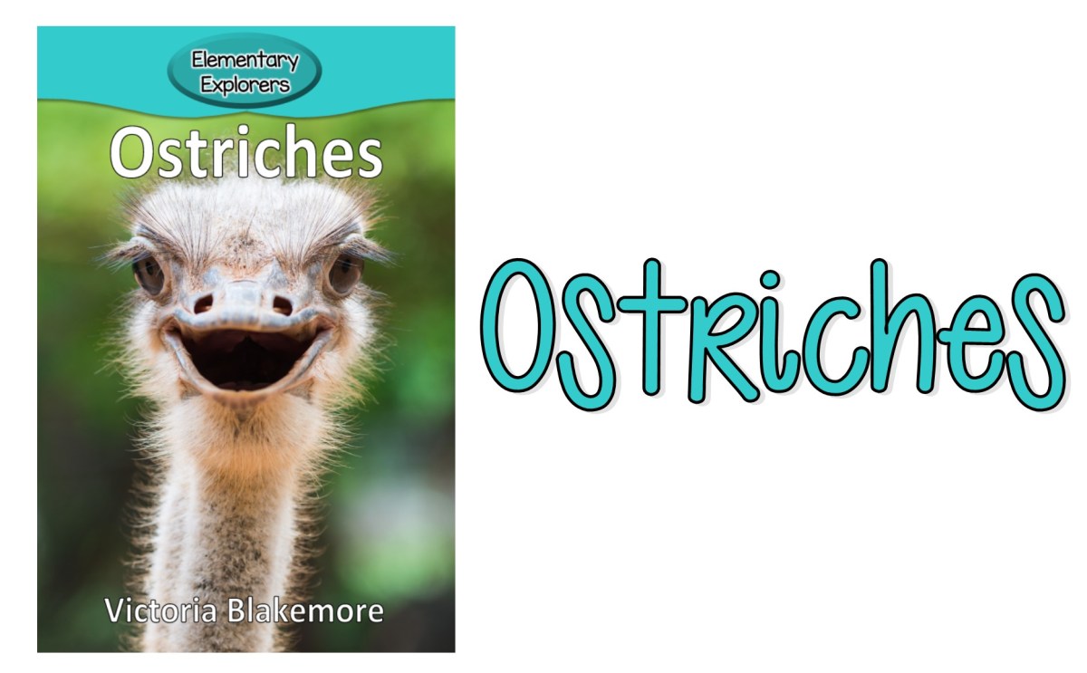 Ostriches – Elementary Explorers