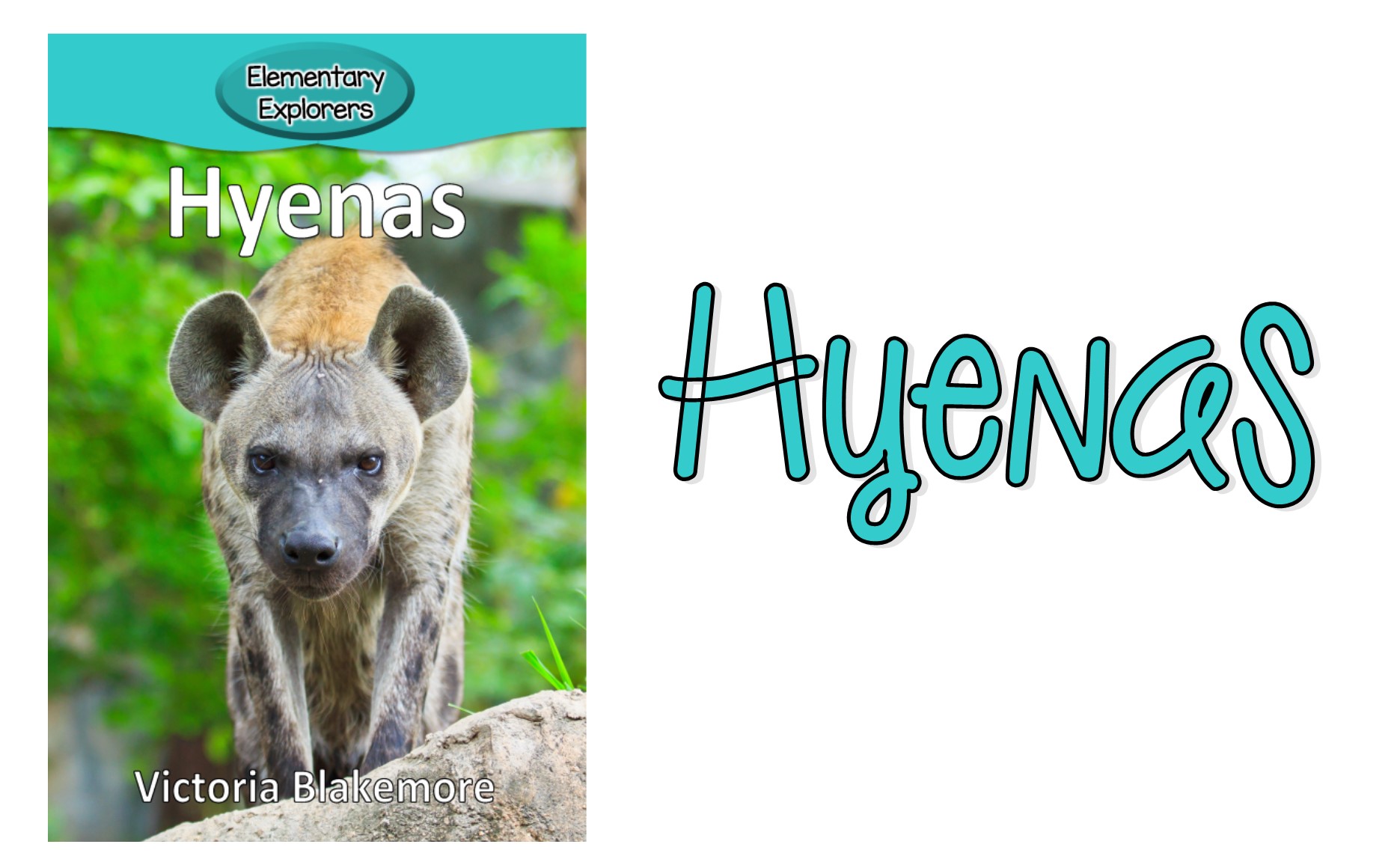 Elementary Explorers