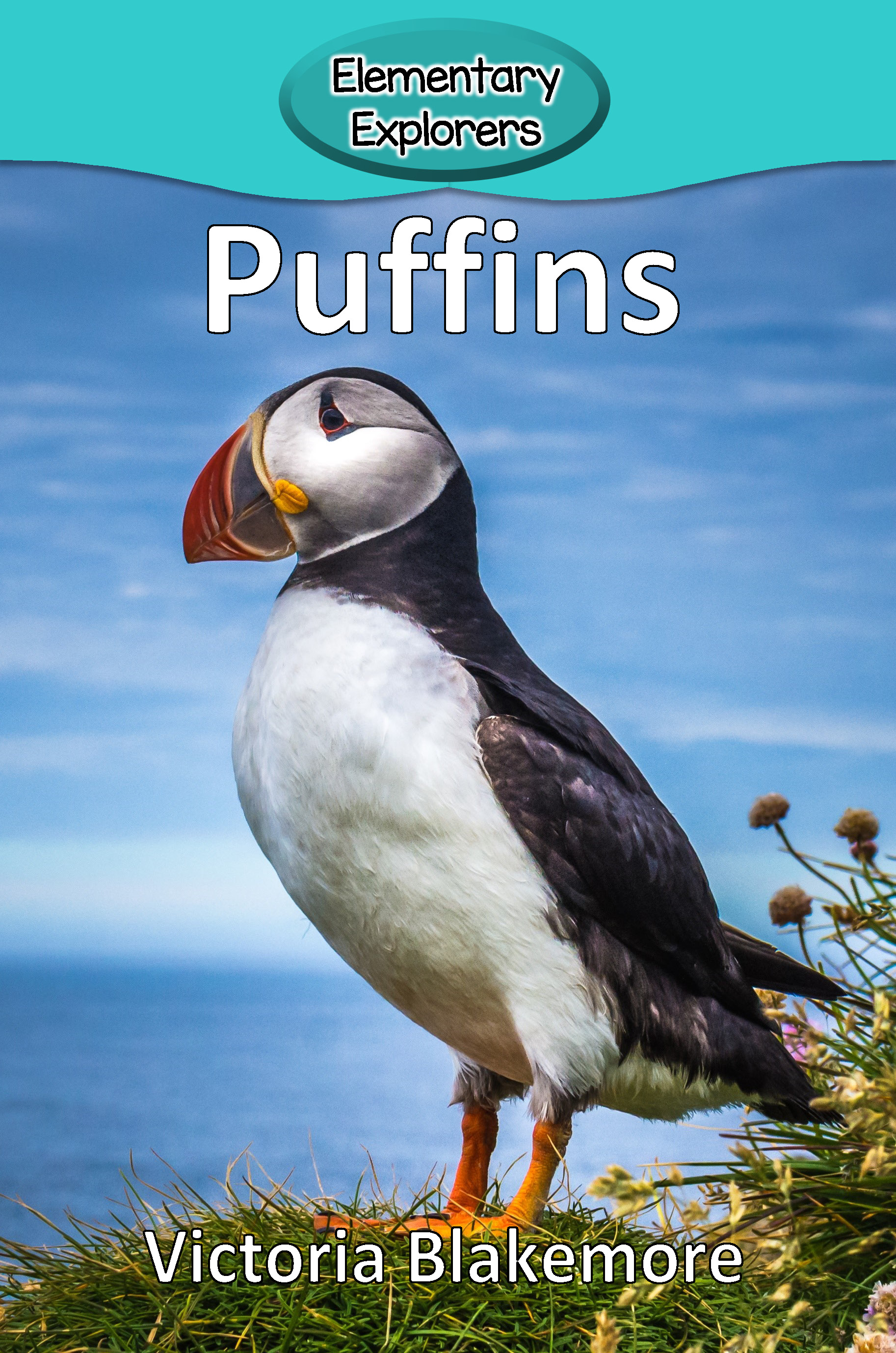 Puffins – Elementary Explorers