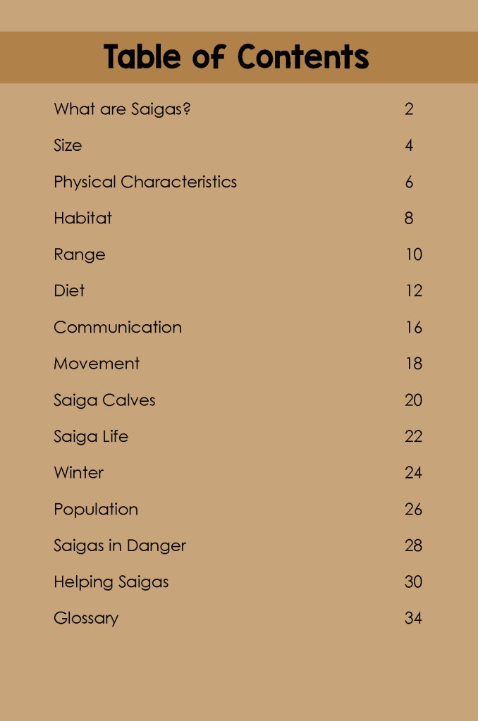 Saigas – Elementary Explorers